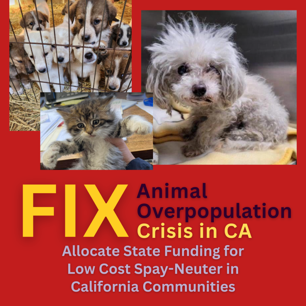 Take Actions - Animal Rescuers For Change