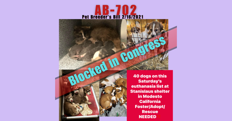 California Needs Common Sense Animal Breeders & Sellers Laws AB2425 ...
