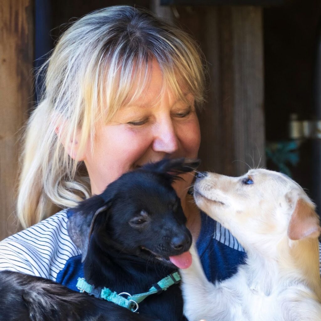 Board and Team - Animal Rescuers For Change